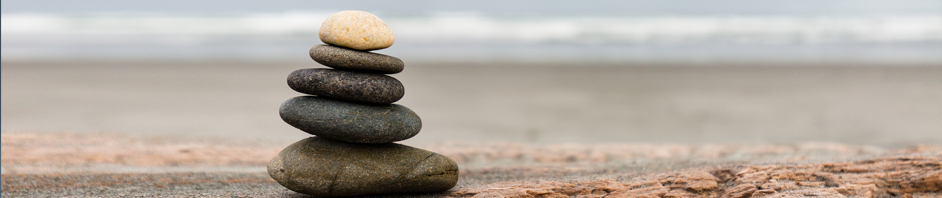 The GUNA Method | Guna Inc.